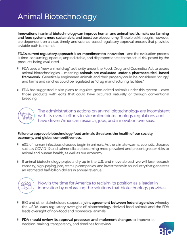 Animal Biotechnology | BIO