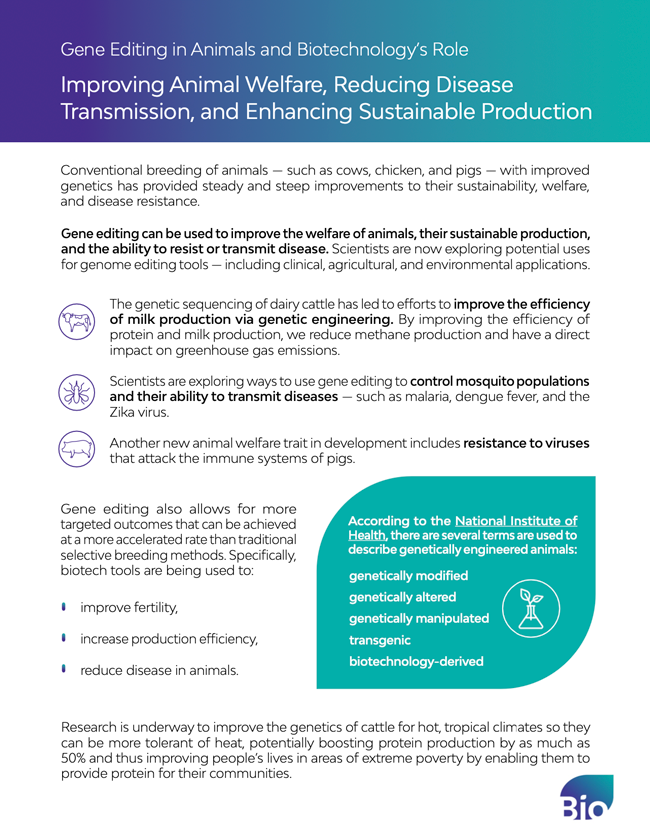 Gene Editing in Animals and Biotechnology’s Role | BIO